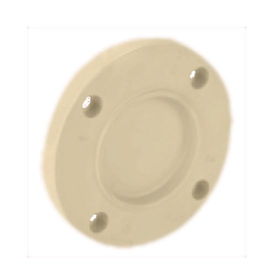 CPVC Flange close 32mm - Online Hardware Store in Nepal | Buy ...